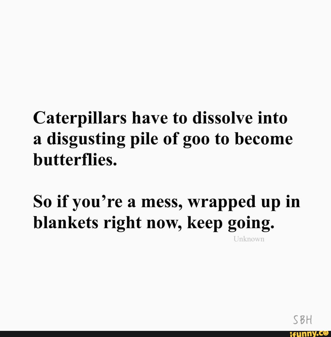 Caterpillars have to dissolve into a disgusting pile of goo to become ...