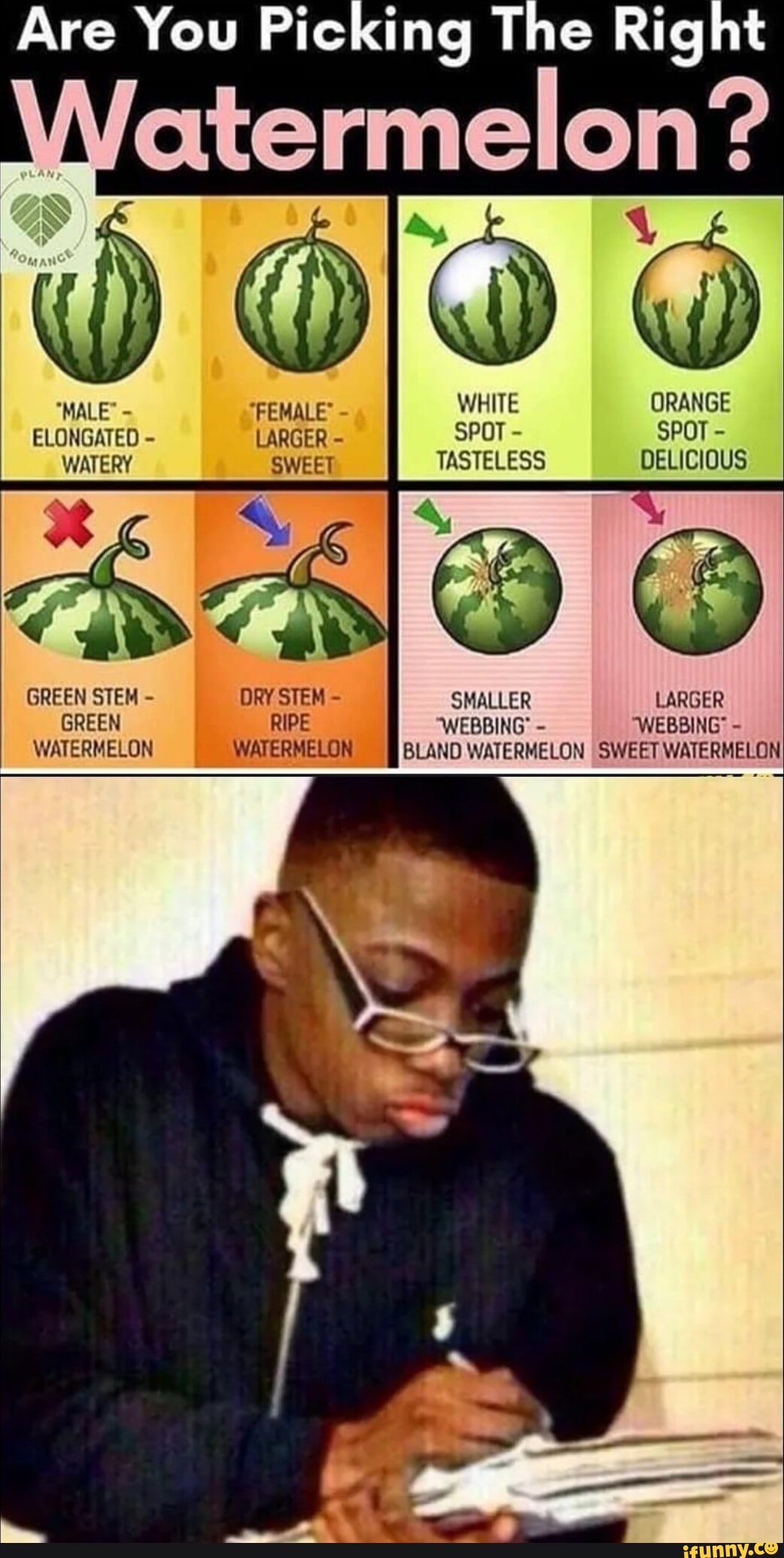 Are You Picking The Right "MALE: - ELONGATED - WATERY GREEN STEM ...