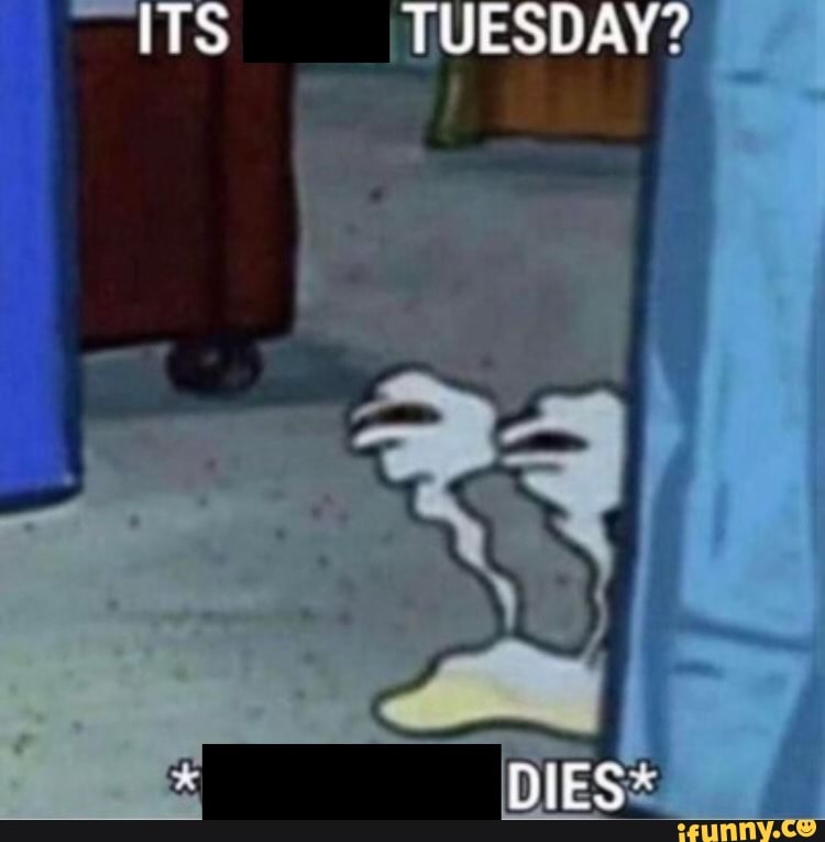 ITS TUESDAY? DIES - iFunny