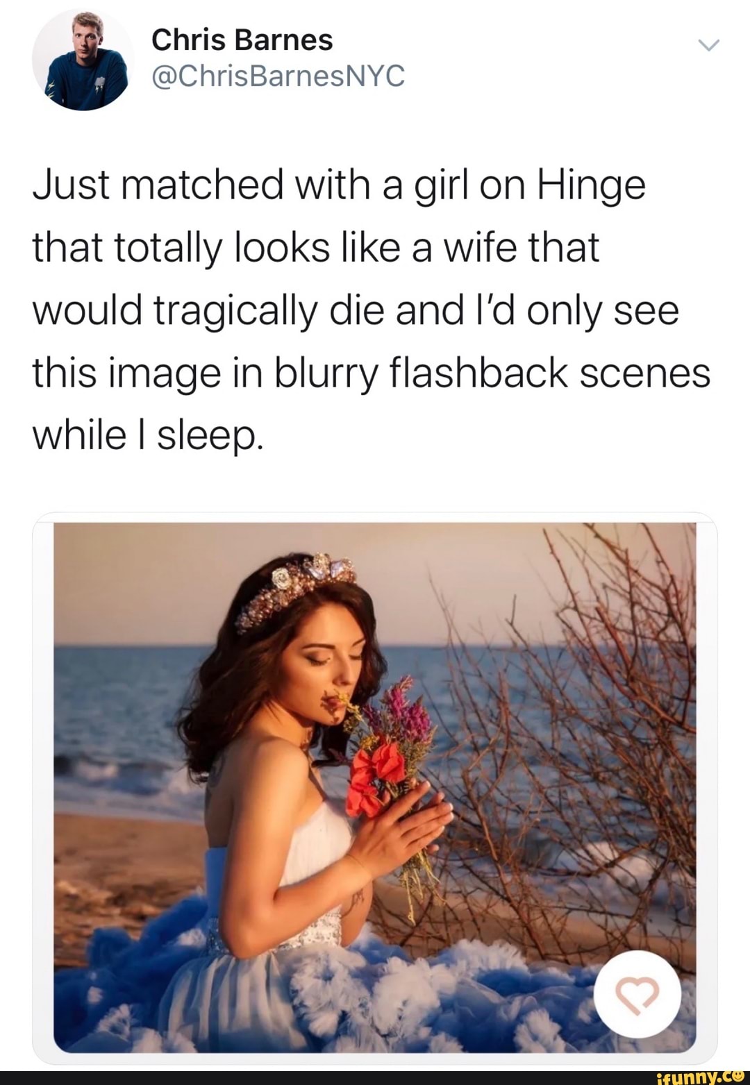 Just matched with a girl on Hinge that totally looks like a wife that ...