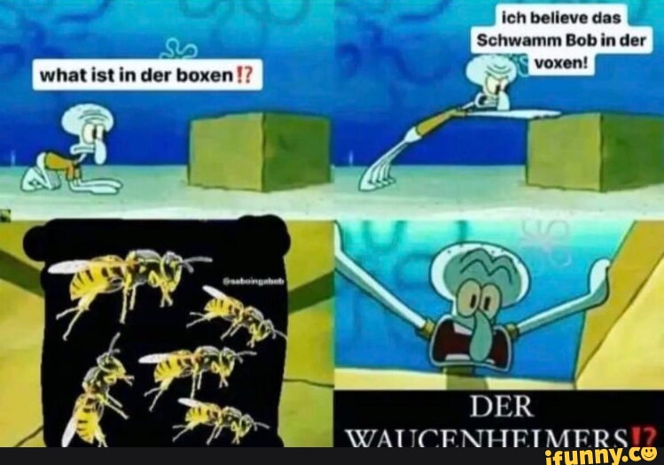 Boxen memes. Best Collection of funny Boxen pictures on iFunny