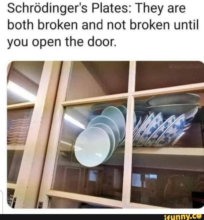 Schrodinger's Plates: They are both broken and not broken until you ...