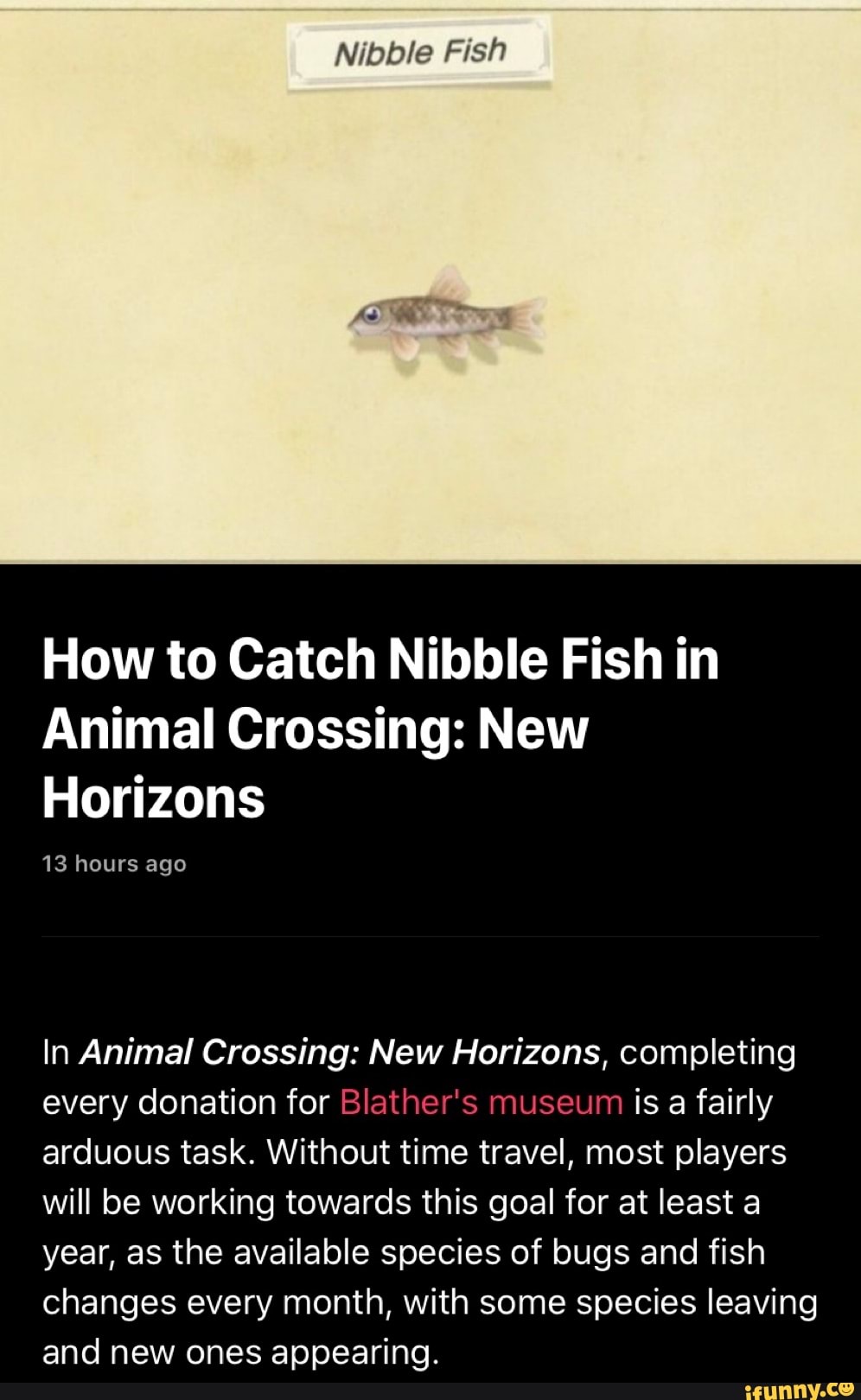 Nibble Fish How to Catch Nibble Fish in Animal Crossing: New In Animal ...
