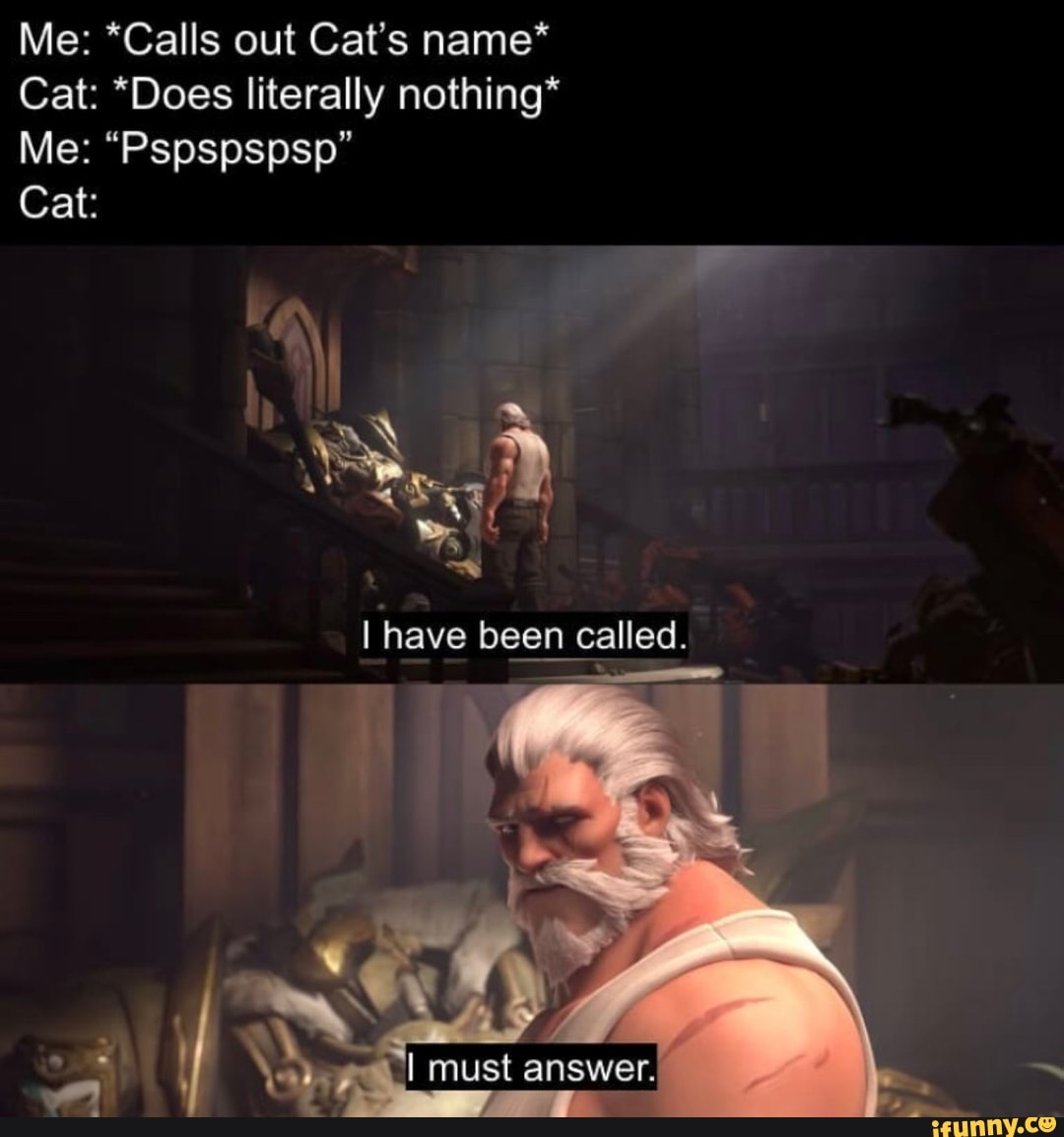 Pspspspsp memes. Best Collection of funny Pspspspsp pictures on iFunny