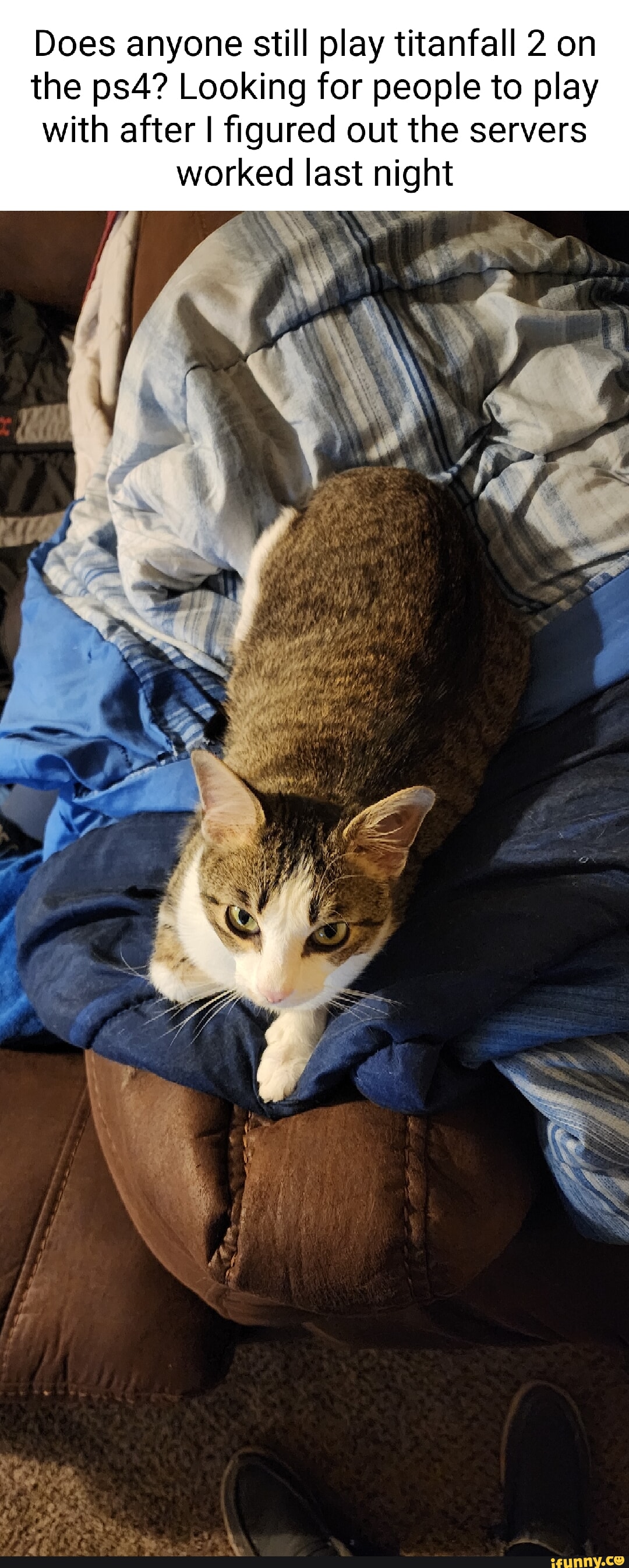 Fall memes. Best Collection of funny Fall pictures on iFunny