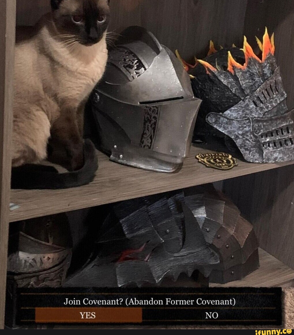 Picture memes JvzowzgY6 by UltimateHomo_2014: 205 comments - iFunny