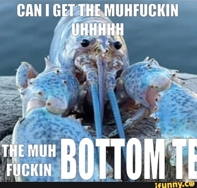 Uhhhhh memes. Best Collection of funny Uhhhhh pictures on iFunny