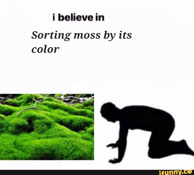 Believe Sorting moss by its color - iFunny