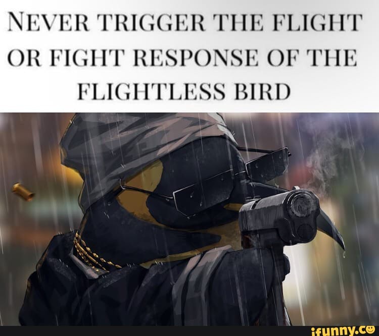 NEVER TRIGGER THE FLIGHT OR FIGHT RESPONSE OF THE FLIGHTLESS BIRD - iFunny