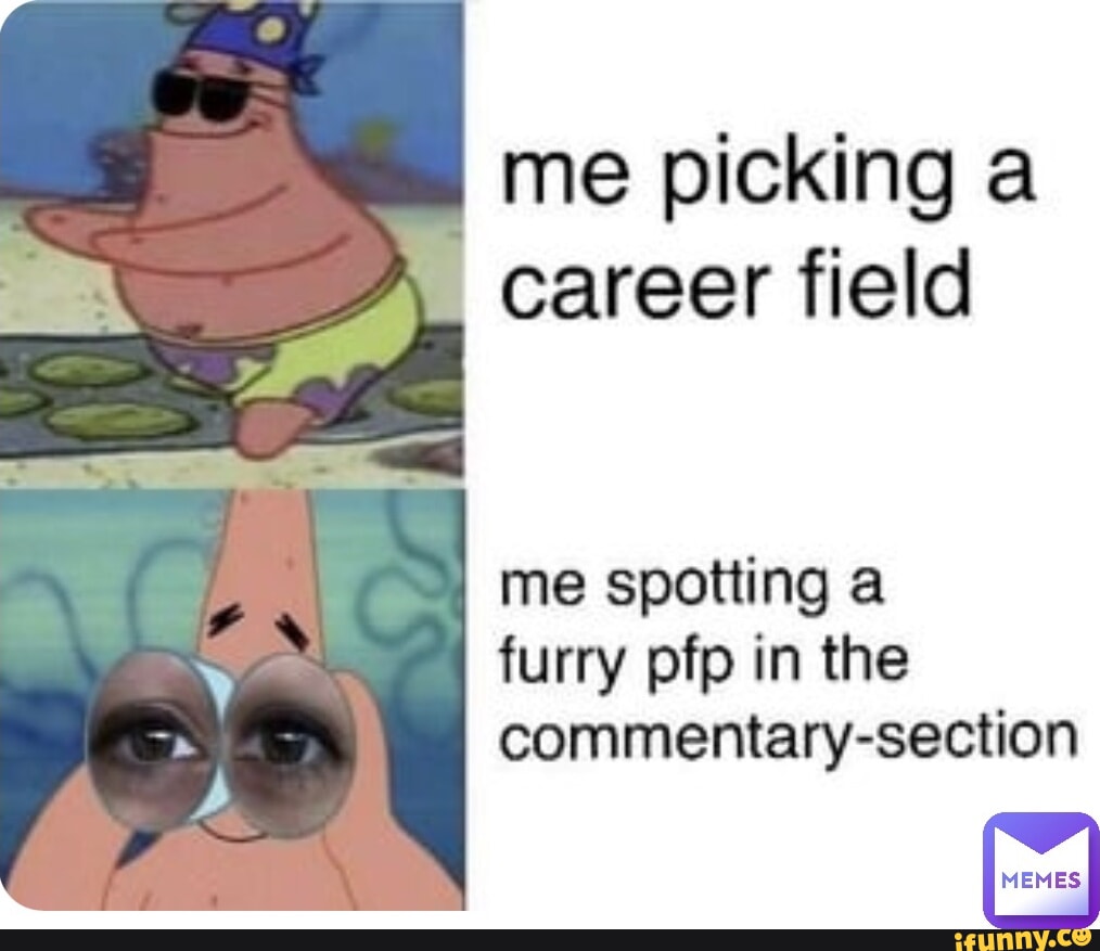 Me picking a career field me spotting a furry pfp in the commentary ...
