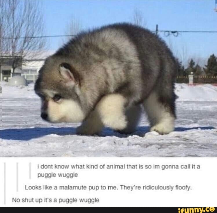 Wuggle memes. Best Collection of funny Wuggle pictures on iFunny