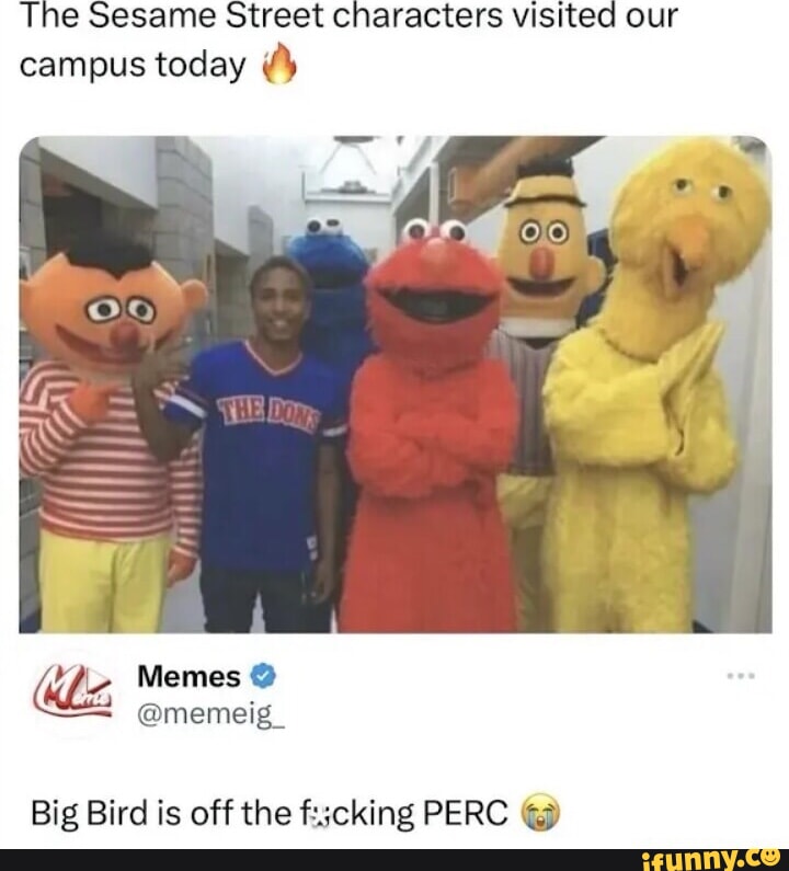 The Sesame Street characters visited our campus today Memes Big Bird is ...