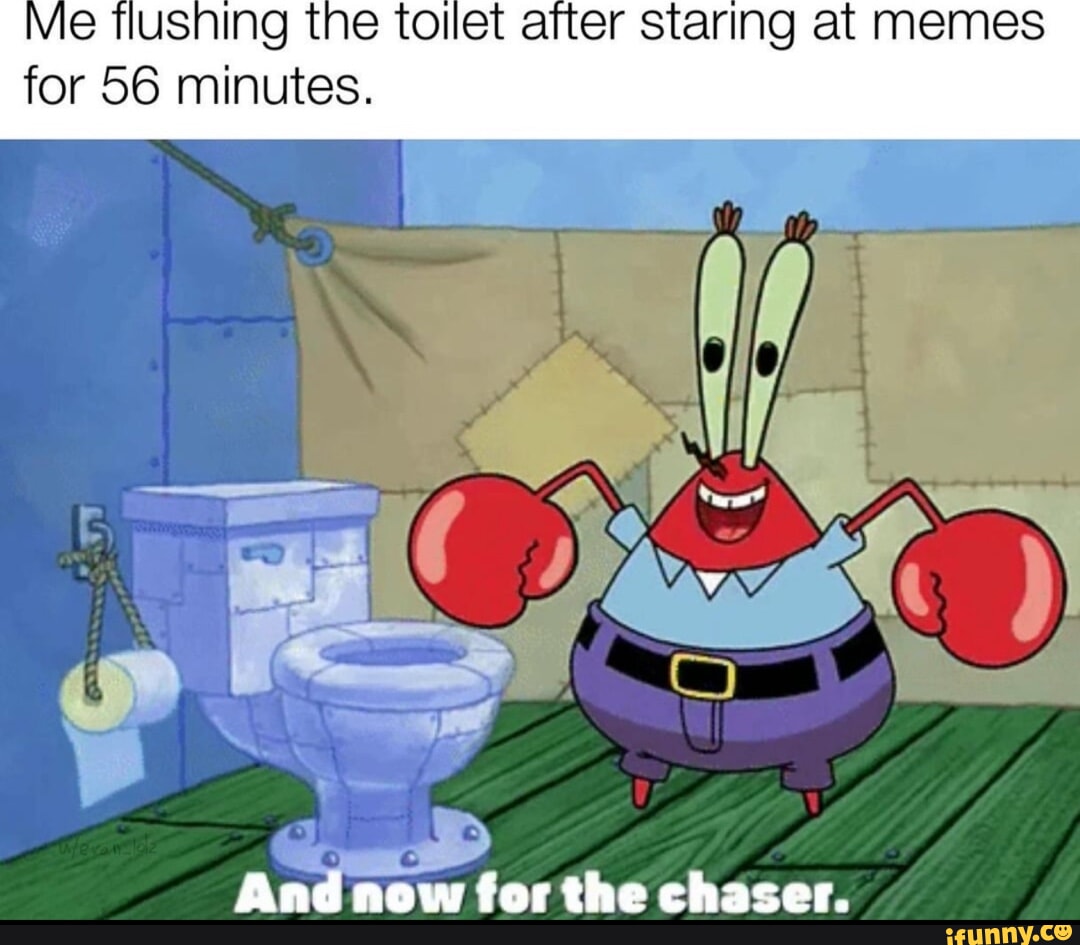 Me Tlusning the tollet after staring at memes for 56 minutes. And now ...