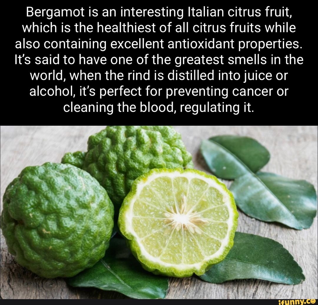 Bergamot is an interesting Italian citrus fruit, which is the ...