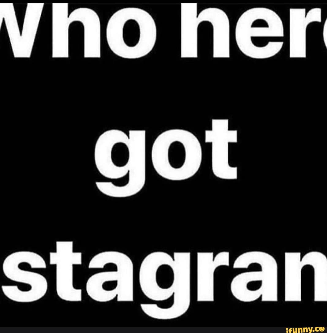 Stagran memes. Best Collection of funny Stagran pictures on iFunny