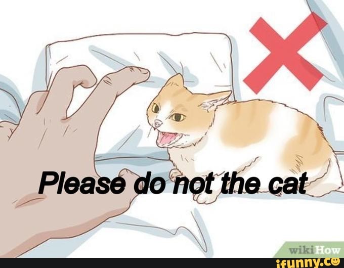 Badtouch memes. Best Collection of funny Badtouch pictures on iFunny