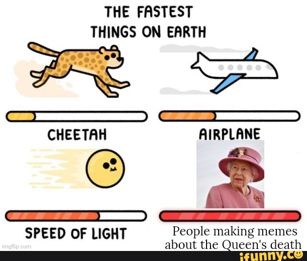 THE FASTEST THINGS ON EARTH CHEETAH AIRPLANE SPEED OF LIGHT People ...