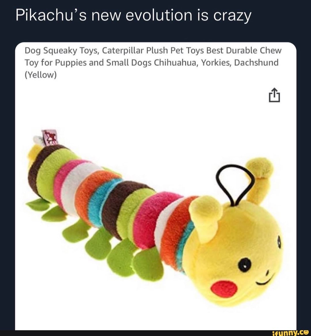 Pikachu's new evolution is crazy Dog Squeaky Toys, Caterpillar Plush ...