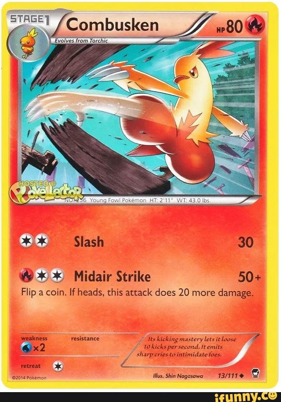 Combusken memes. Best Collection of funny Combusken pictures on iFunny