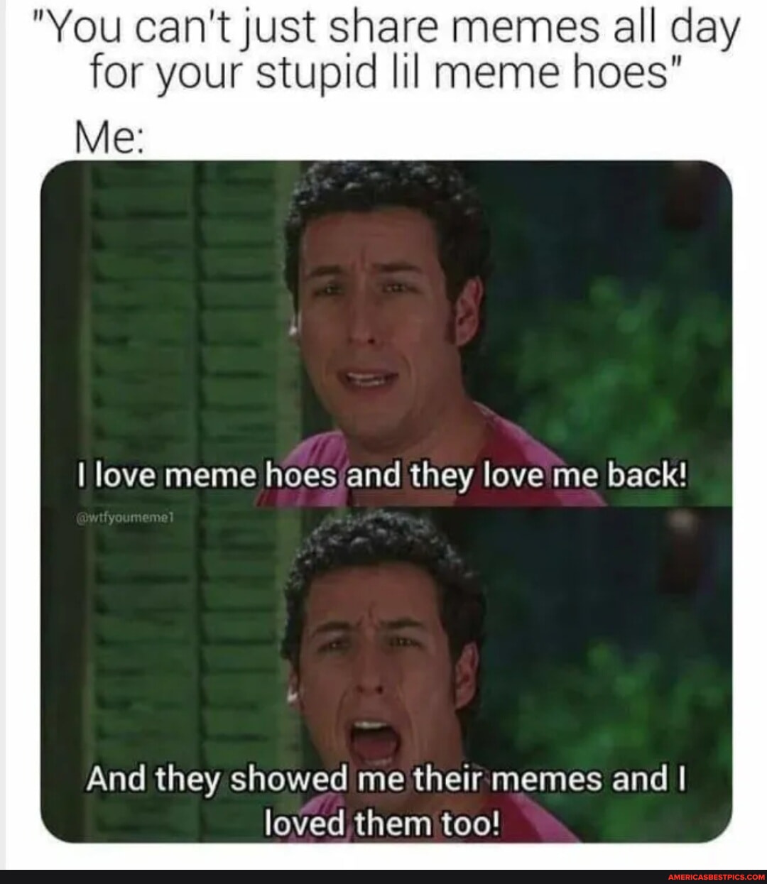 "You can't just share memes all day for your stupid lil meme hoes" Me ...