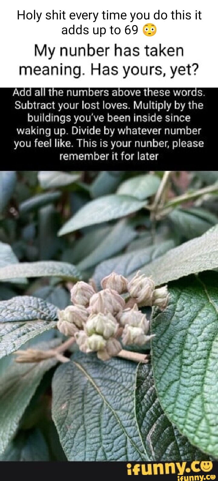 Holy shit every time you do this it adds up to 69 My nunber has taken ...