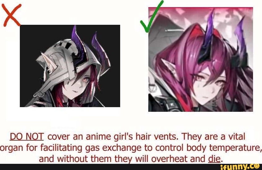 DO NOT cover an anime girl's hair vents. They are a vital organ for ...