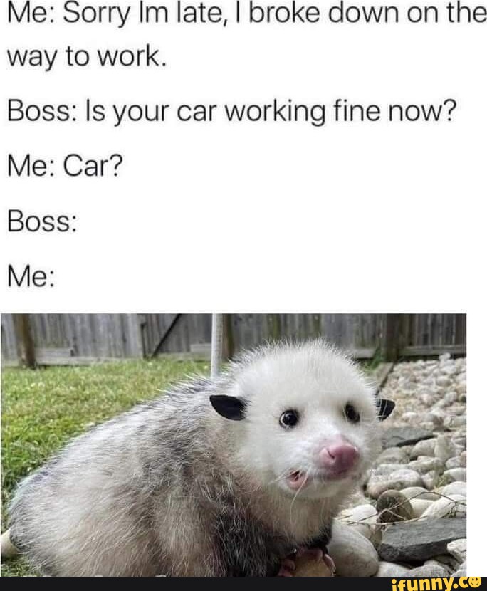 Me: Sorry Im late, I broke down on the way to work. Boss: Is your car ...