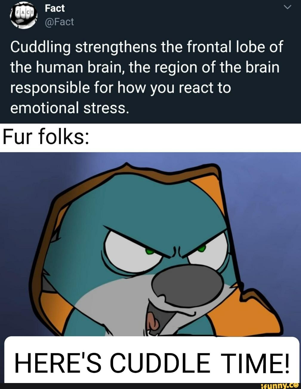 Cuddling strengthens the frontal lobe of the human brain, the region of ...