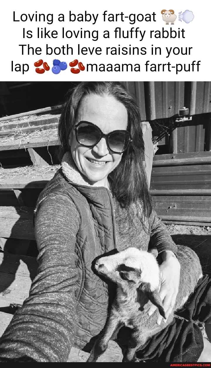 Loving a baby fart-goat Is like loving a fluffy rabbit The both leve ...