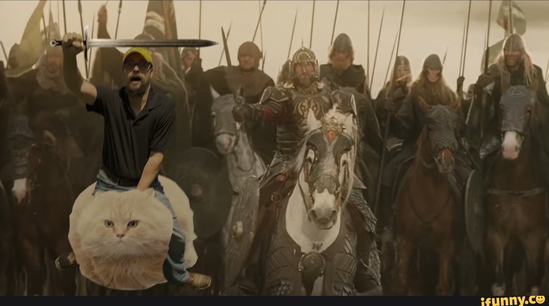 Hovercat memes. Best Collection of funny Hovercat pictures on iFunny