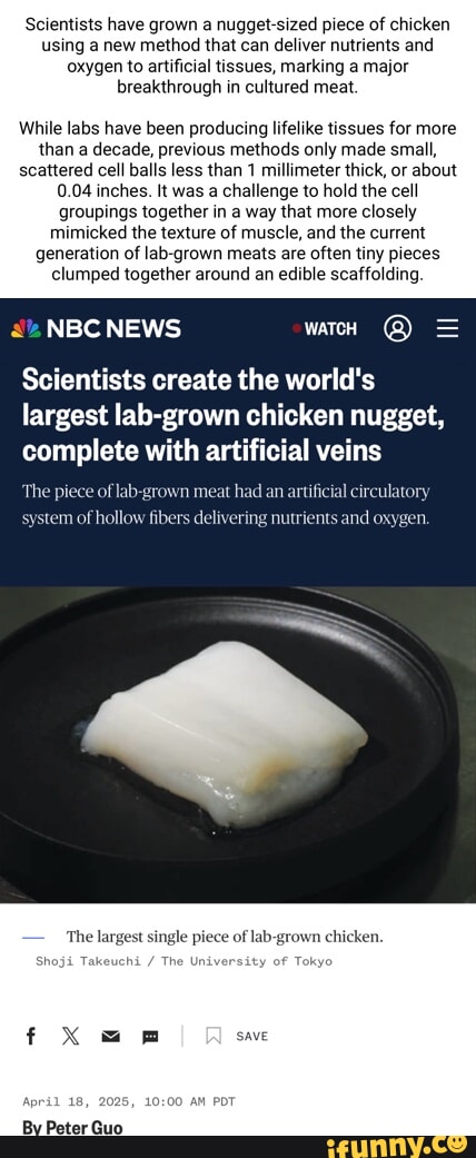 Scientists have grown a nugget sized piece of chicken using a new ...