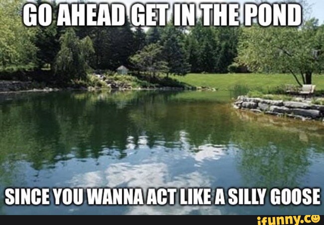 Why are you locked in the bathroom - iFunny