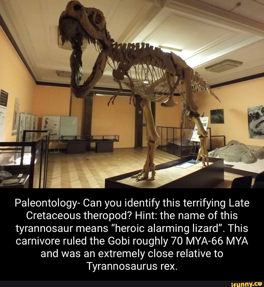 Paleontology- Can you identify this terrifying Late Cretaceous theropod ...