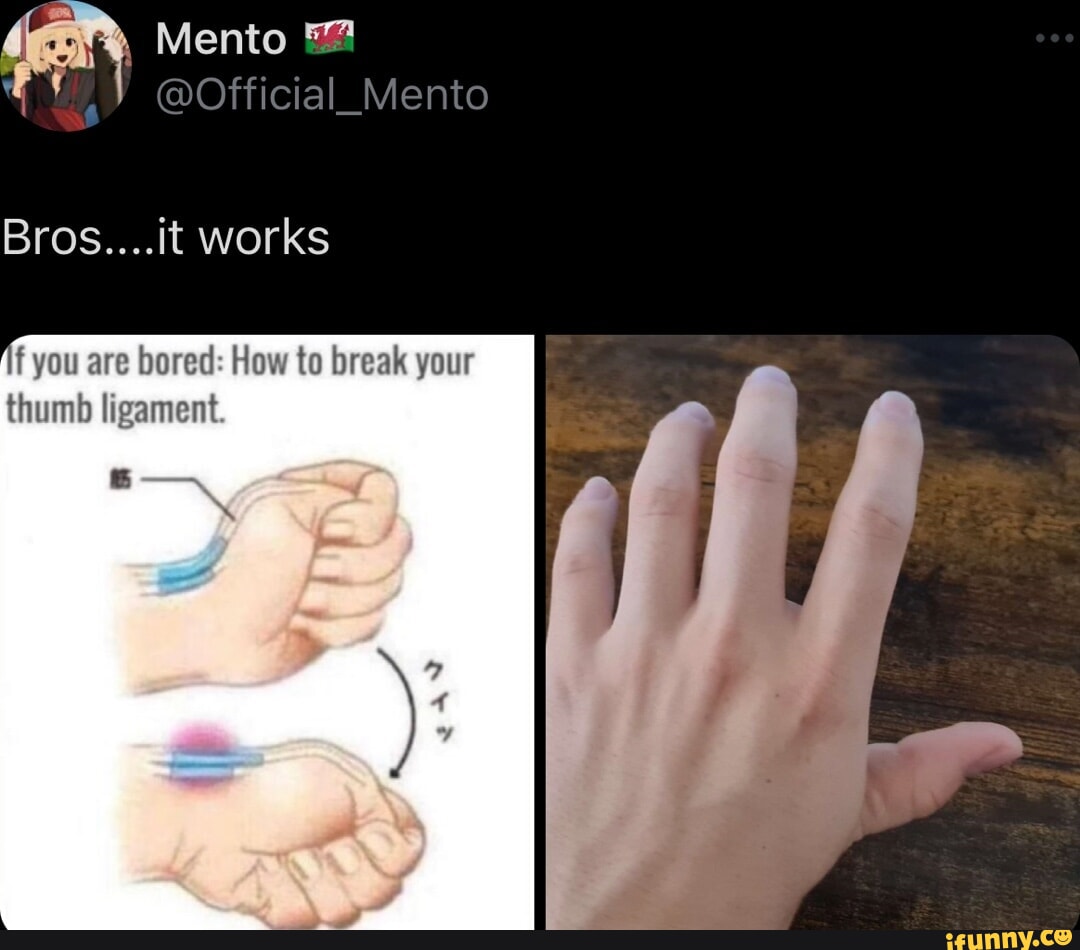 Mento @Official_Mento Bros....it works you are bored: How to break your ...