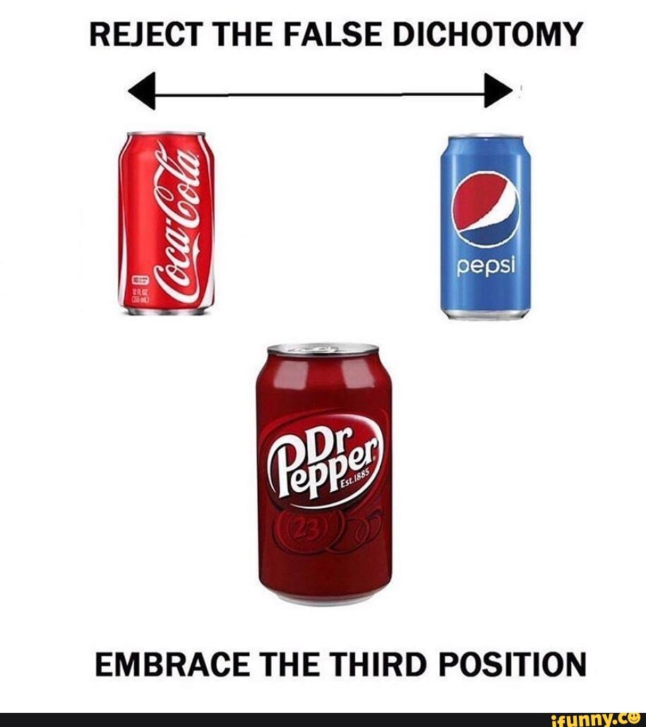 REJECT THE FALSE DICHOTOMY EMBRACE THE THIRD POSITION - iFunny