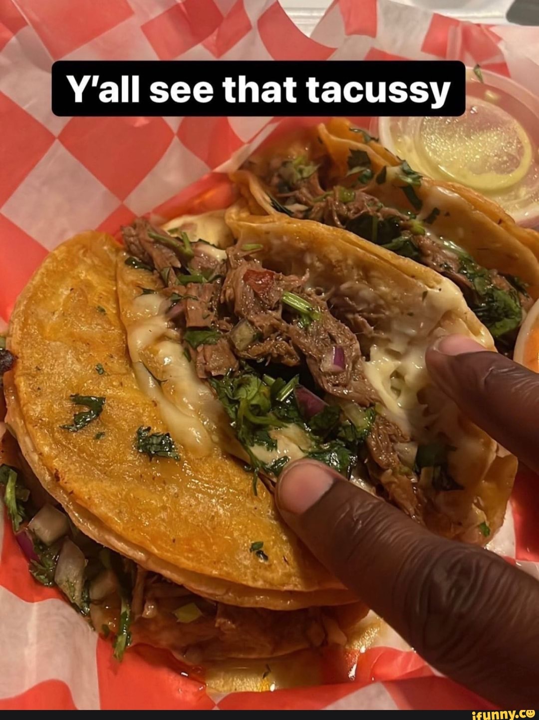 Tacussy memes. Best Collection of funny Tacussy pictures on iFunny