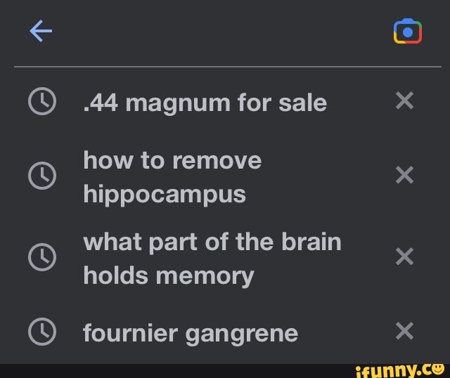 44 magnum for sale how to remove hippocampus what part of the brain ...