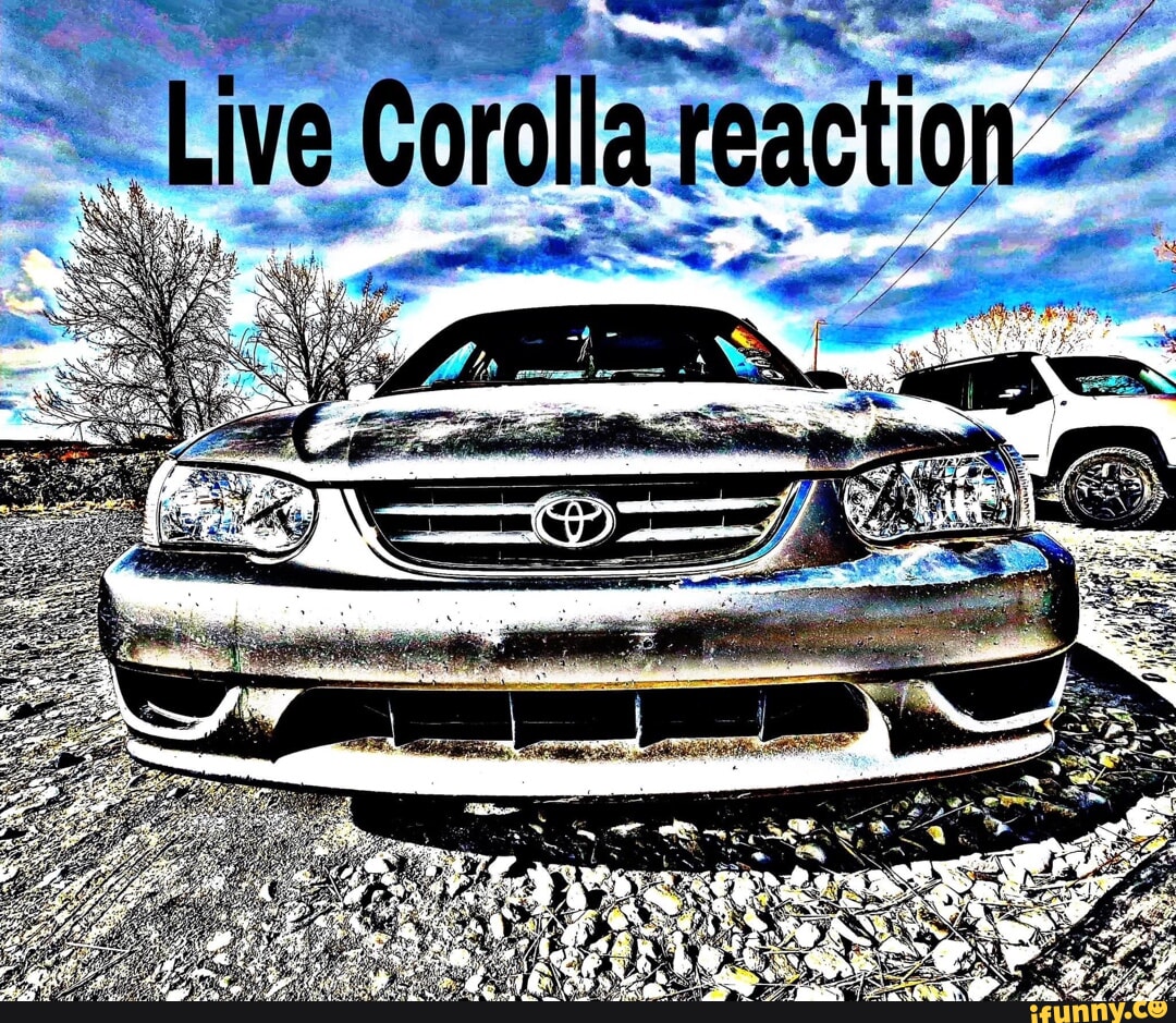 Corolla memes. Best Collection of funny Corolla pictures on iFunny