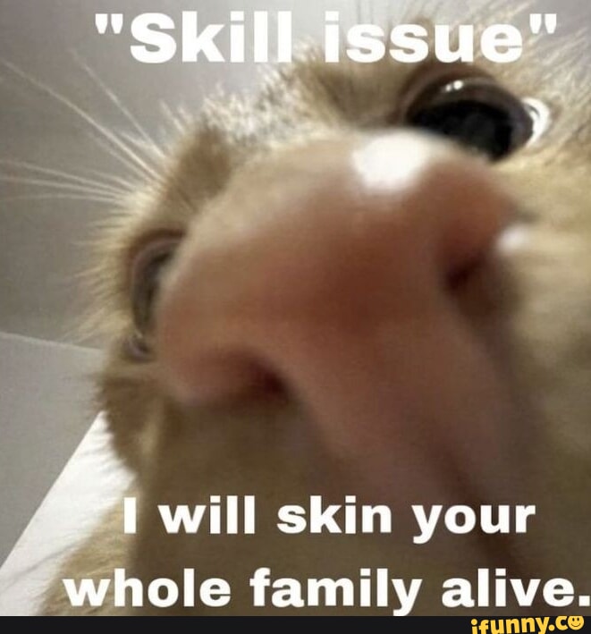 "Skill issue" will skin your whole family alive. - iFunny
