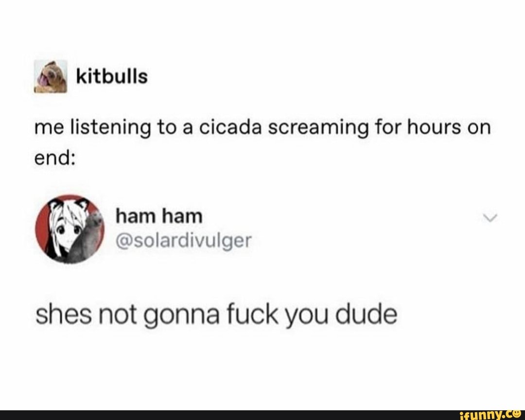 Me listening to a cicada screaming for hours on end: " ham ham ...