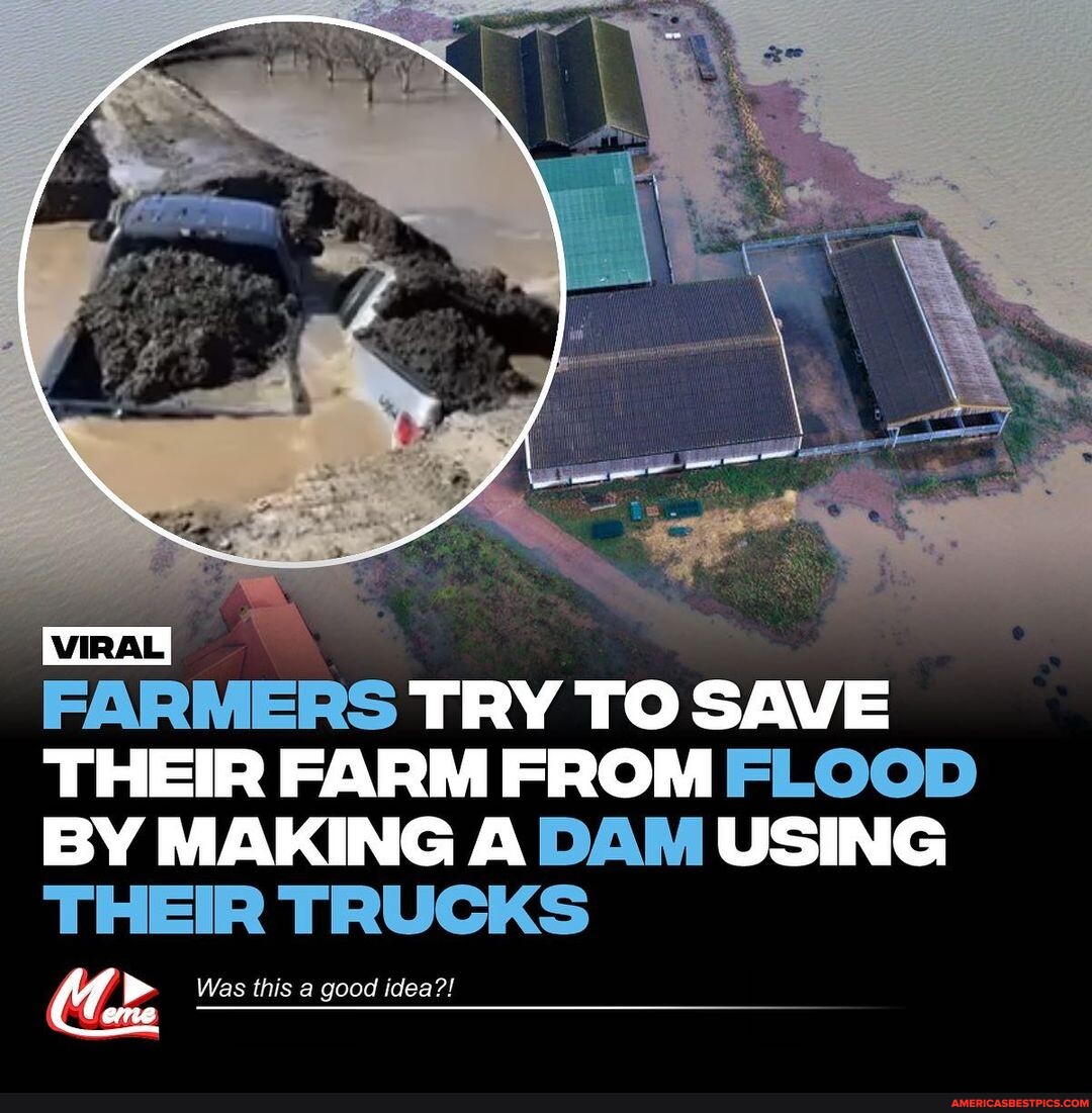 What do y’all think of this!? #memereport - VIRAL I FARMERS TRY TO SAVE ...