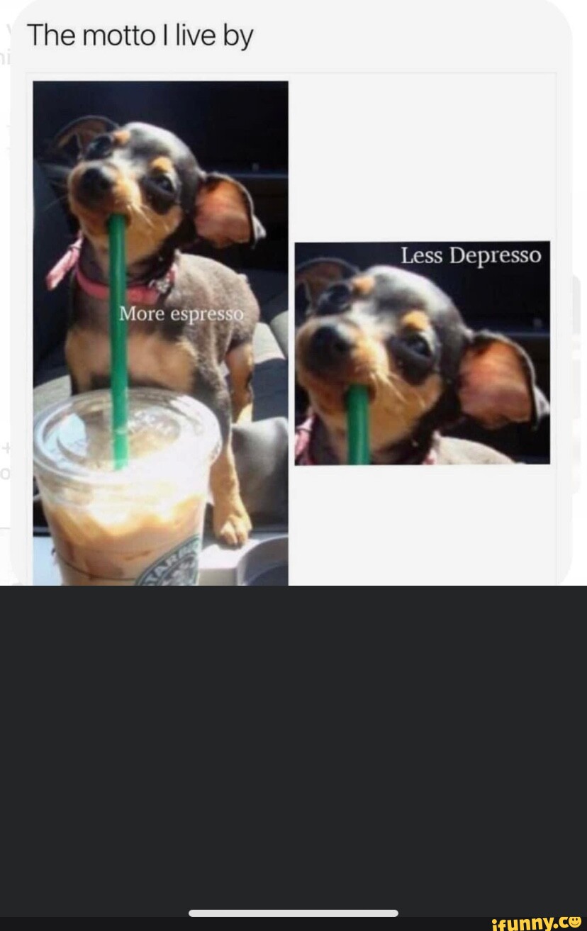 Depresso memes. Best Collection of funny Depresso pictures on iFunny