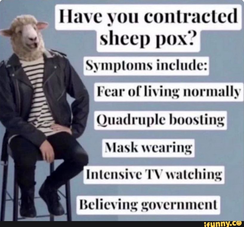 Have you contracted sheep pox? Symptoms include: Fear of living ...