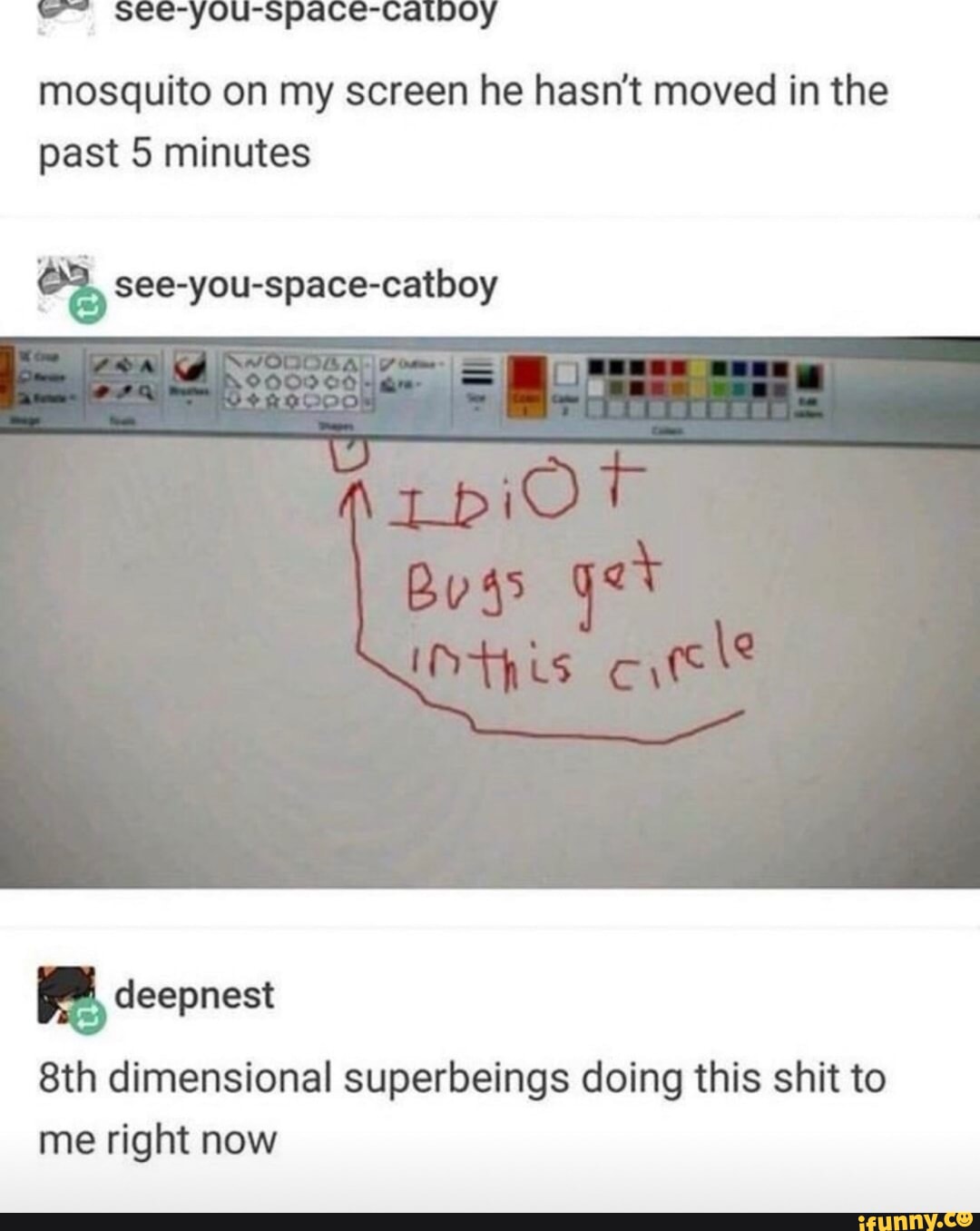 Catboy memes. Best Collection of funny Catboy pictures on iFunny