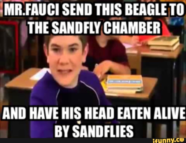 MR.FAUCI SEND THIS BEAGLE TO THE SANDFLY CHAMBER" eS AND HAVE HIS HEAD ...