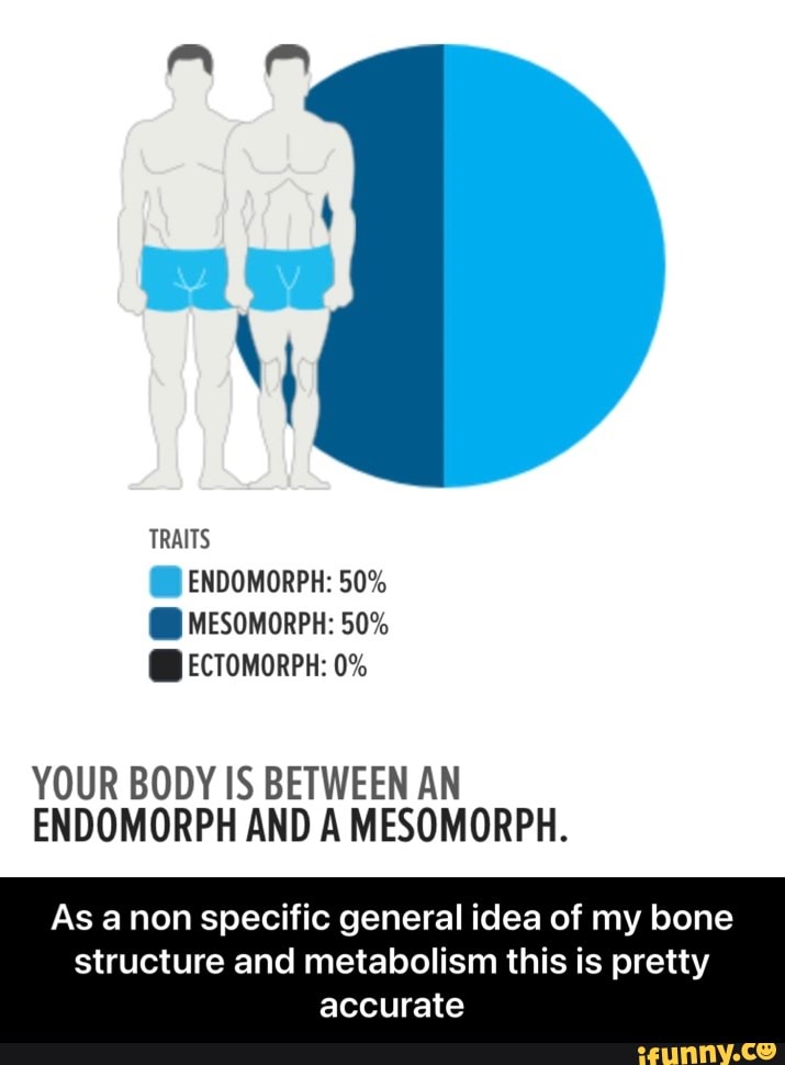 Endomorph memes. Best Collection of funny Endomorph pictures on iFunny