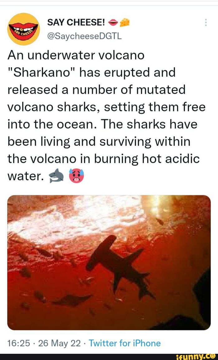 SAY CHEESE! @SaycheeseDGTL An underwater volcano "Sharkano" has erupted ...