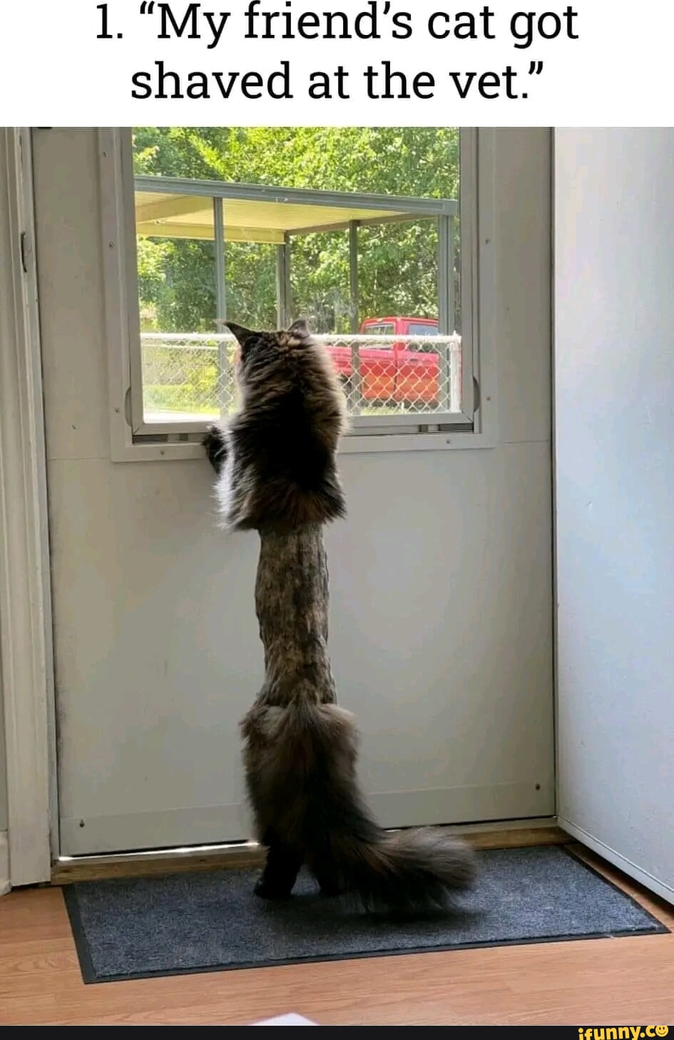 Video memes jiBtWNsn7 by Hemi: 400 comments - iFunny