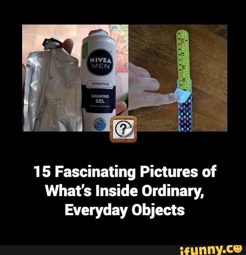 15 Fascinating Pictures of What's Inside Ordinary, Everyday Objects ...