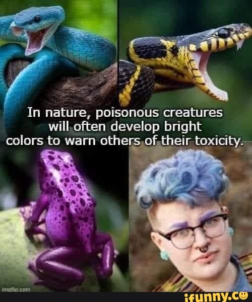 In nature, poisonous creatures will often develop bright colors to warn ...